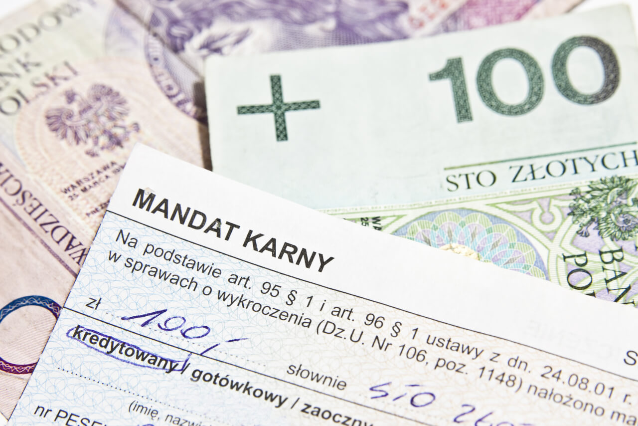 Fakty OSK 25.08.2021 - Raj dla piratów - Szkoła Jazdy Sklep i Aktualności